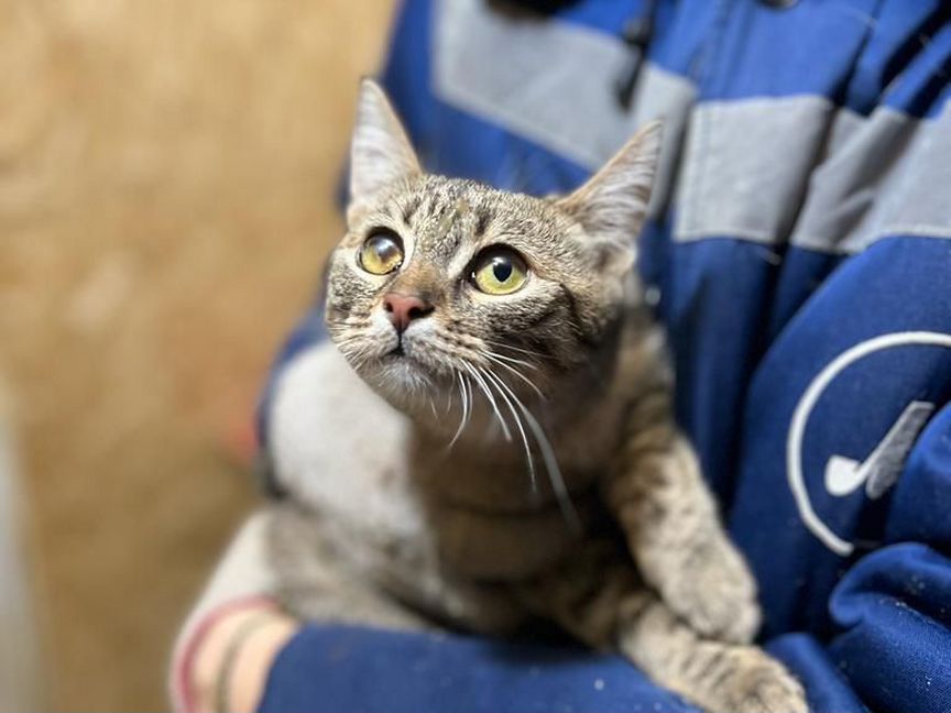 Малышка спасена с улицы