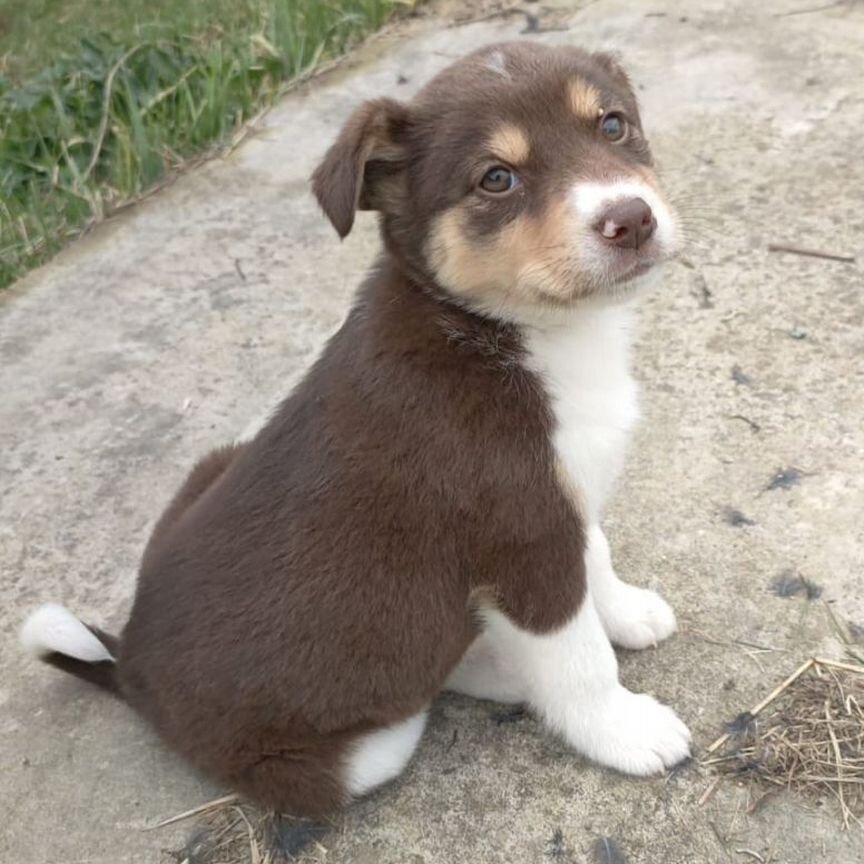 Нежнейшая Адель ждет родителей