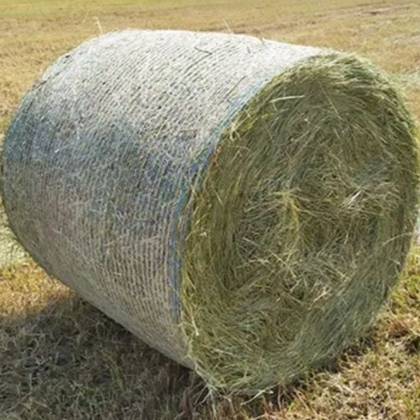 Сено луговое в тюках