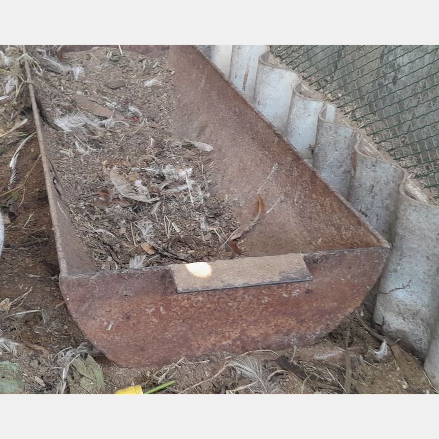 Кормушки для свиней