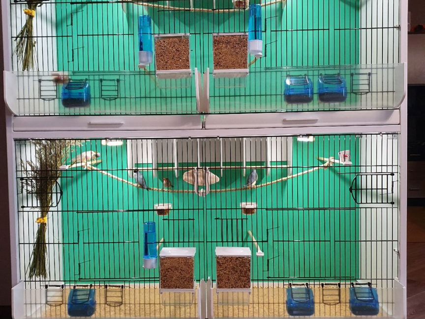 Клетка для волнистого попугая большая