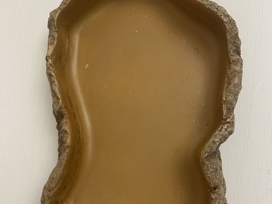 Купалка, поилка для террариума