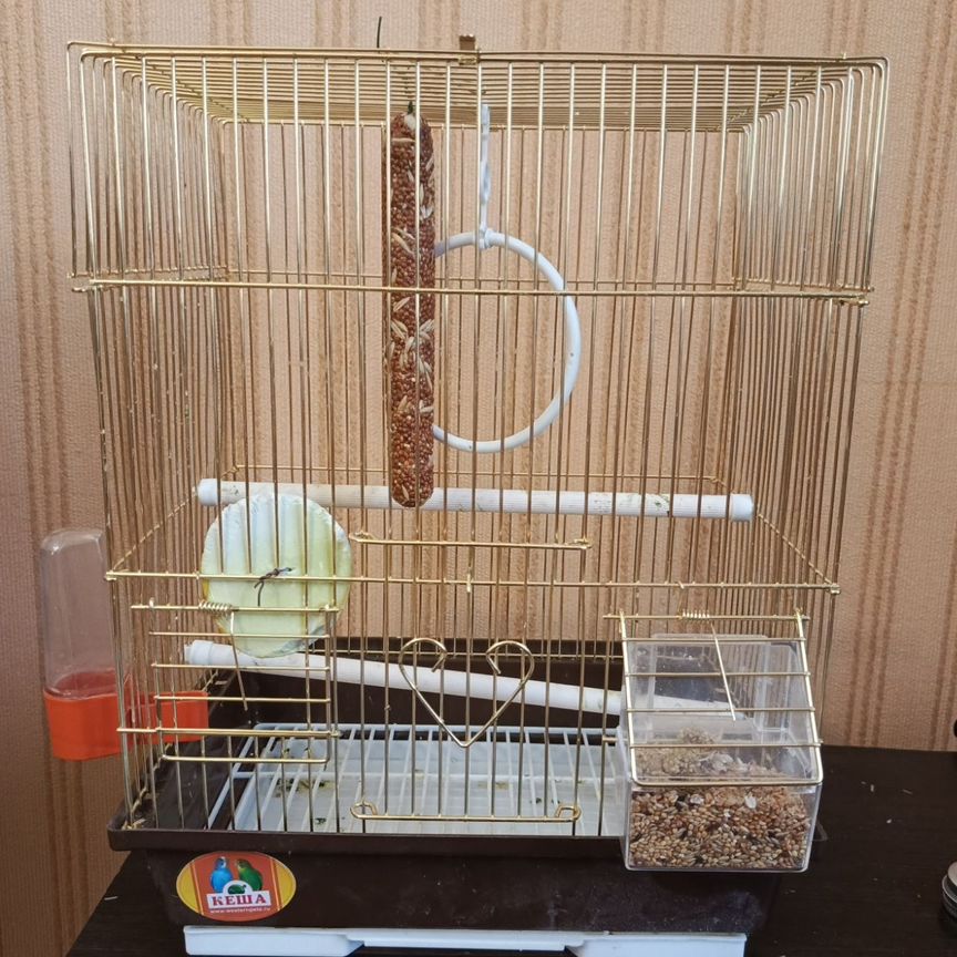 Клетка для попугая