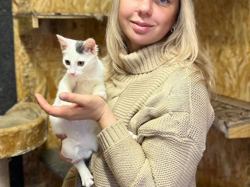 Котенок Санька в добрые руки