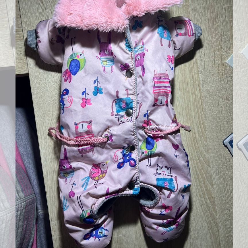 Одежда для маленьких собак зима