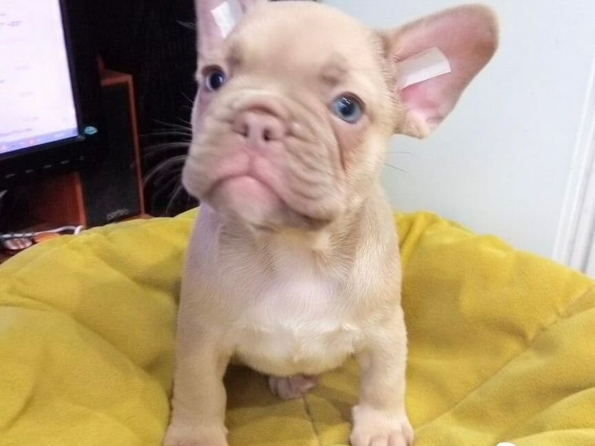 Потрясающий мальчик