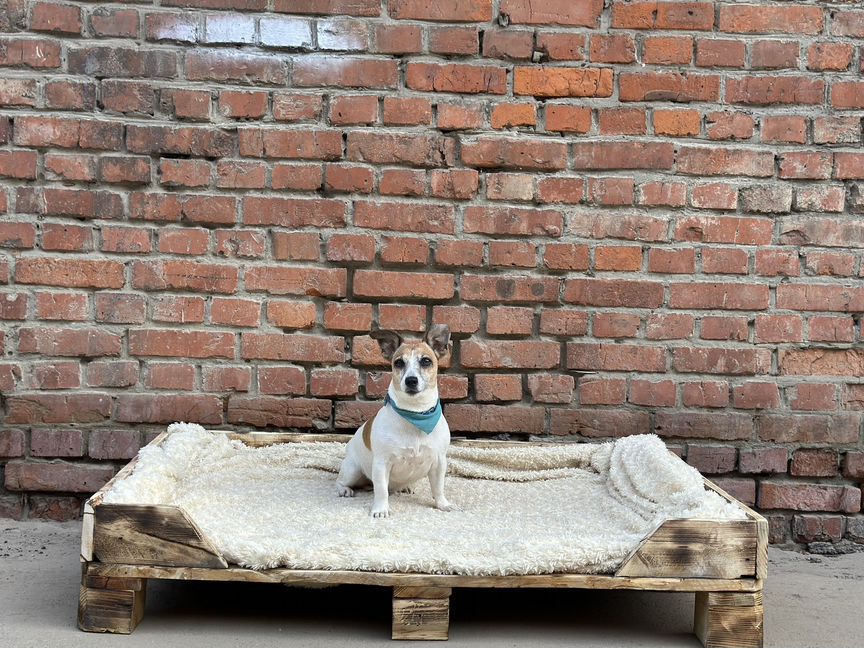 Деревянные кровати (лежанки) для собак под заказ