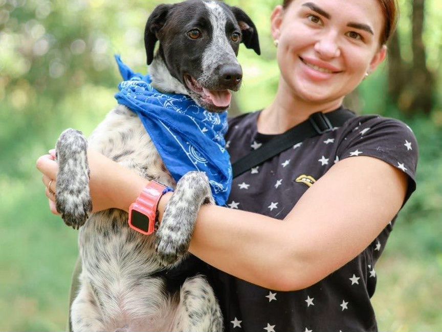 Собака в добрые руки щенок мальчик из приюта