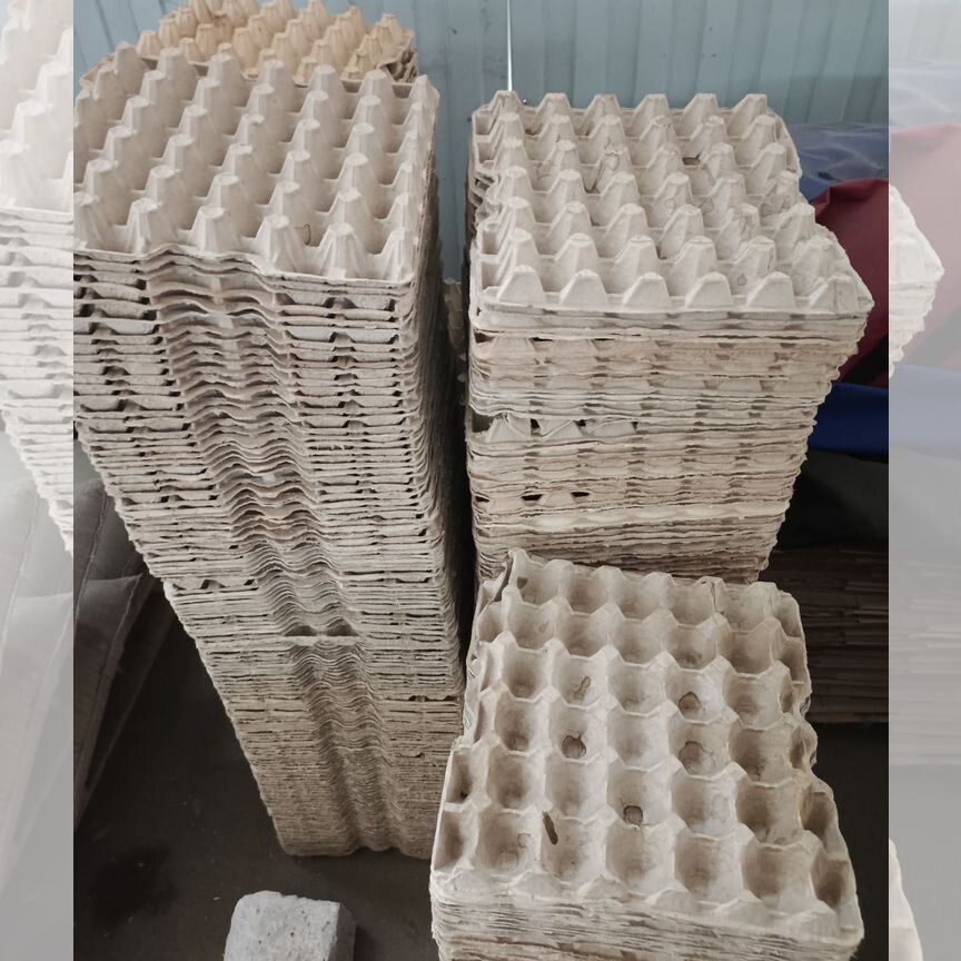 Яичные лотки