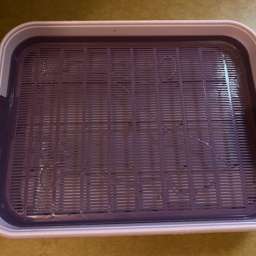 Кошачий лоток