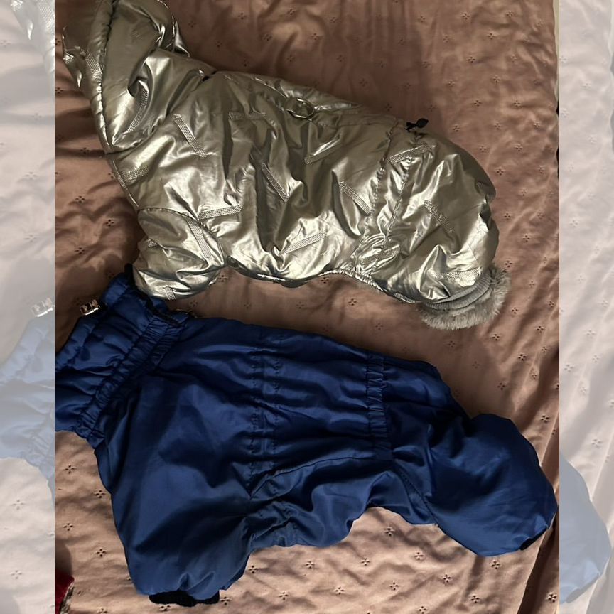 Одежда для собак