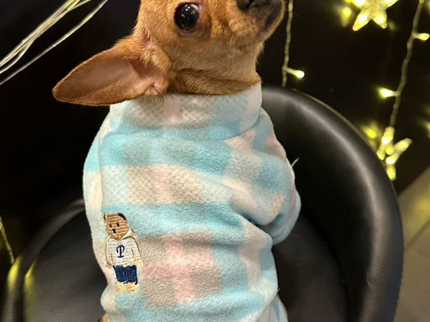 Одежда для собак фланелевые кофточки/свитера