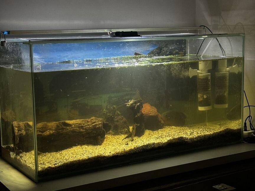 Аквариум 200 литров с рыбками
