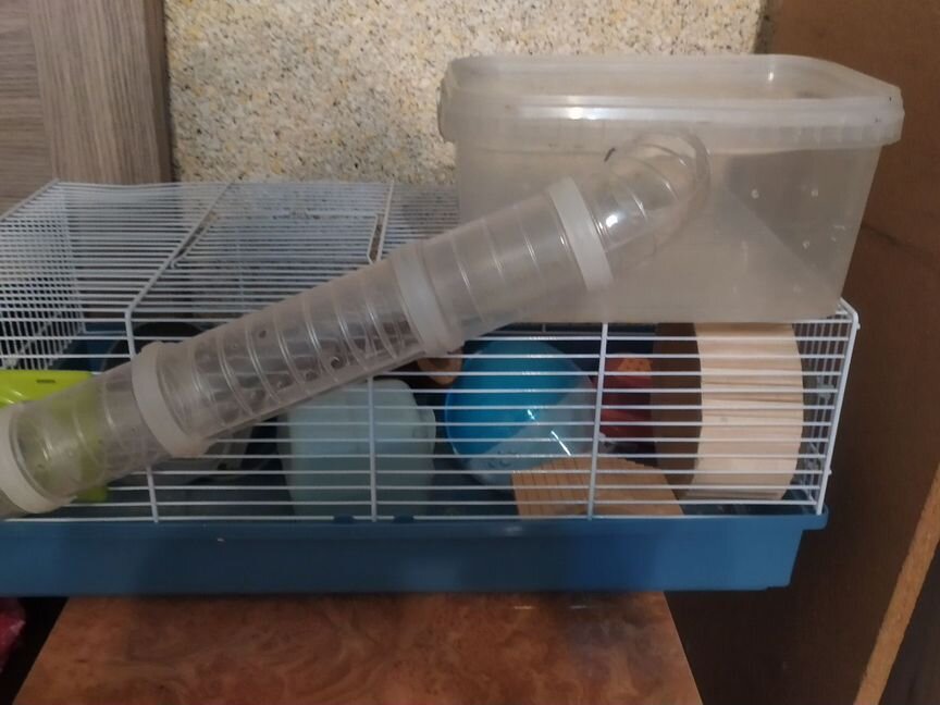 Клетка для джунгарского хомяка
