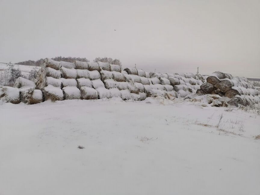 Солома в рулонах