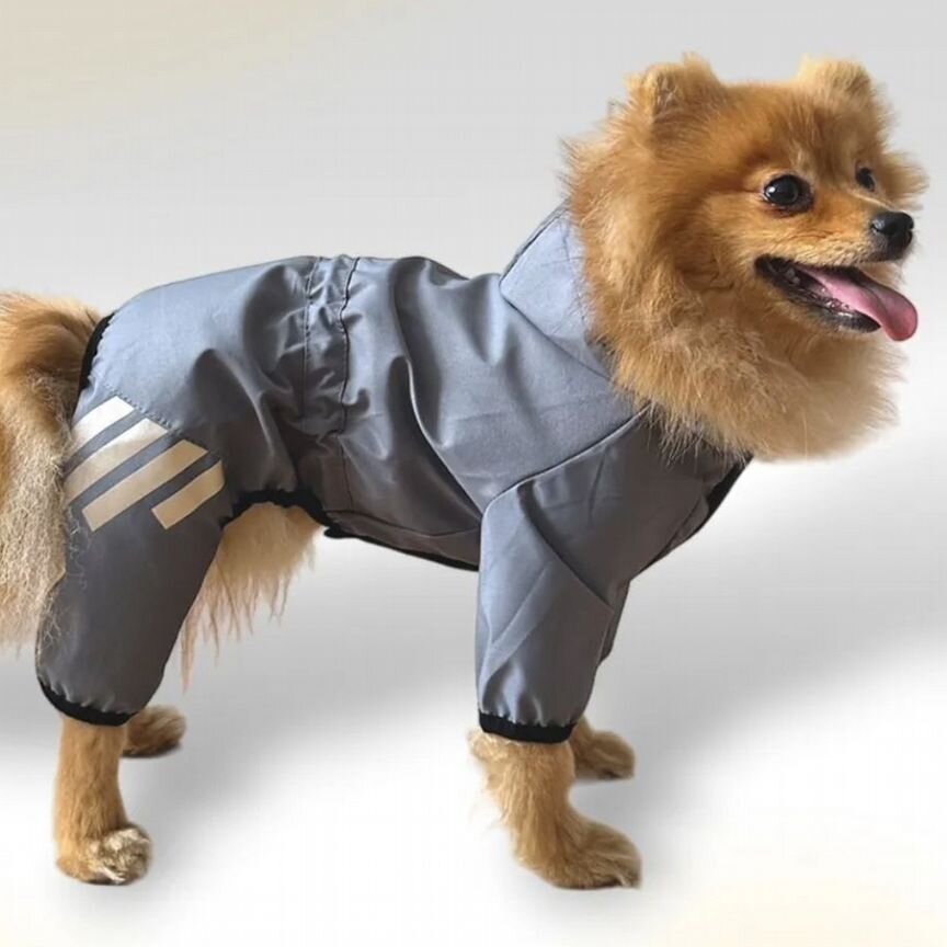 Дождевик для маленькой собаки