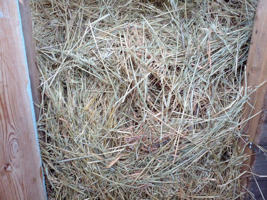 Сено в тюках