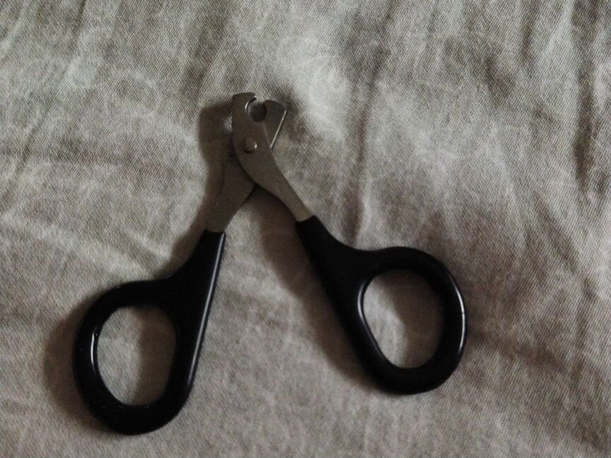 Ножницы для груминга