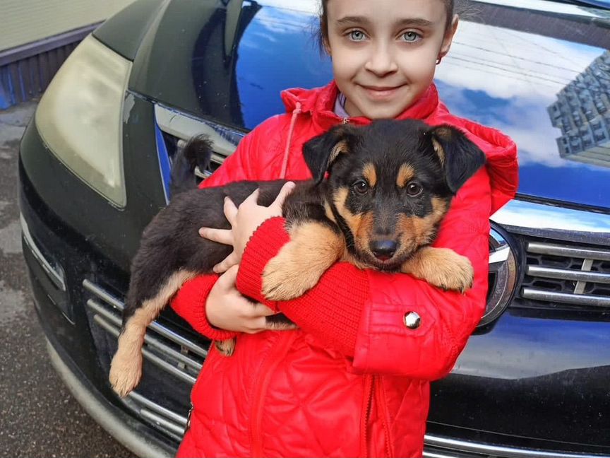 Заберите мальчишку себе