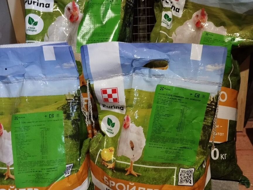 Путина старт для бройлера