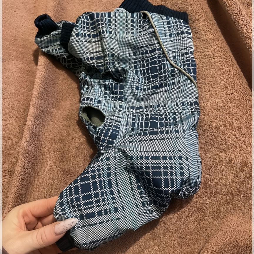 Одежда для маленьких собак бу