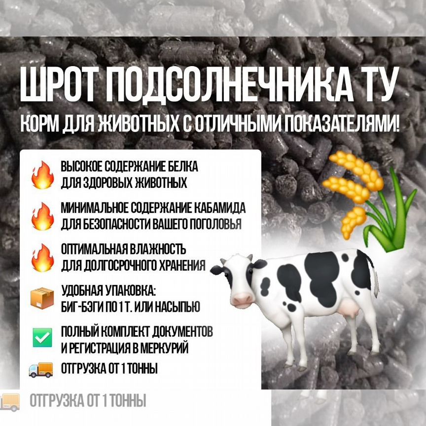 Шрот подсолнечника оптом