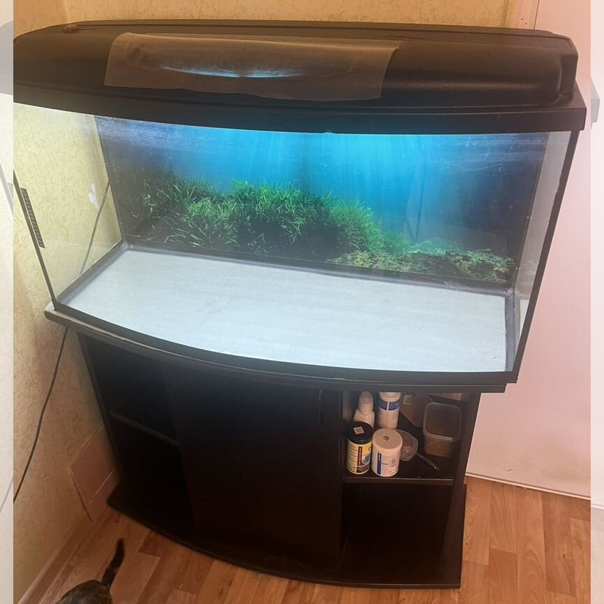 Аквариум с тумбой
