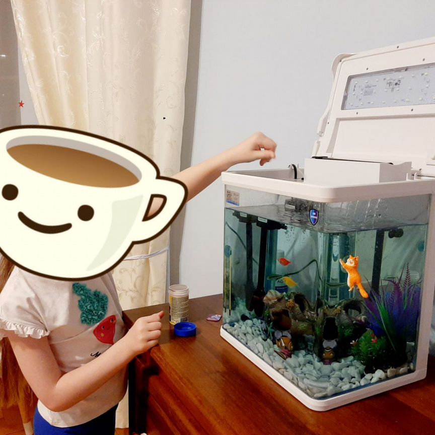 Аквариум бу с рыбками