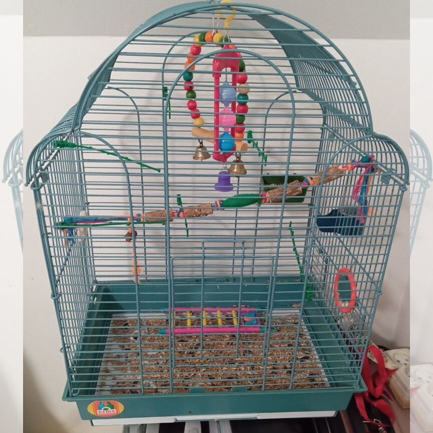Клетка для попугая бу