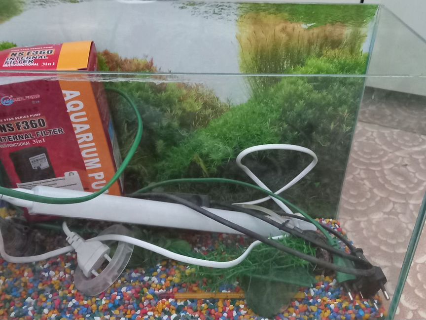 Аквариум + все необходимое