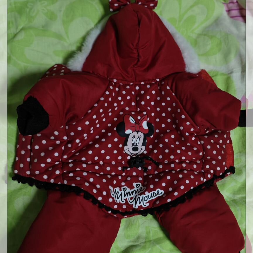 Одежда для маленьких собак зима