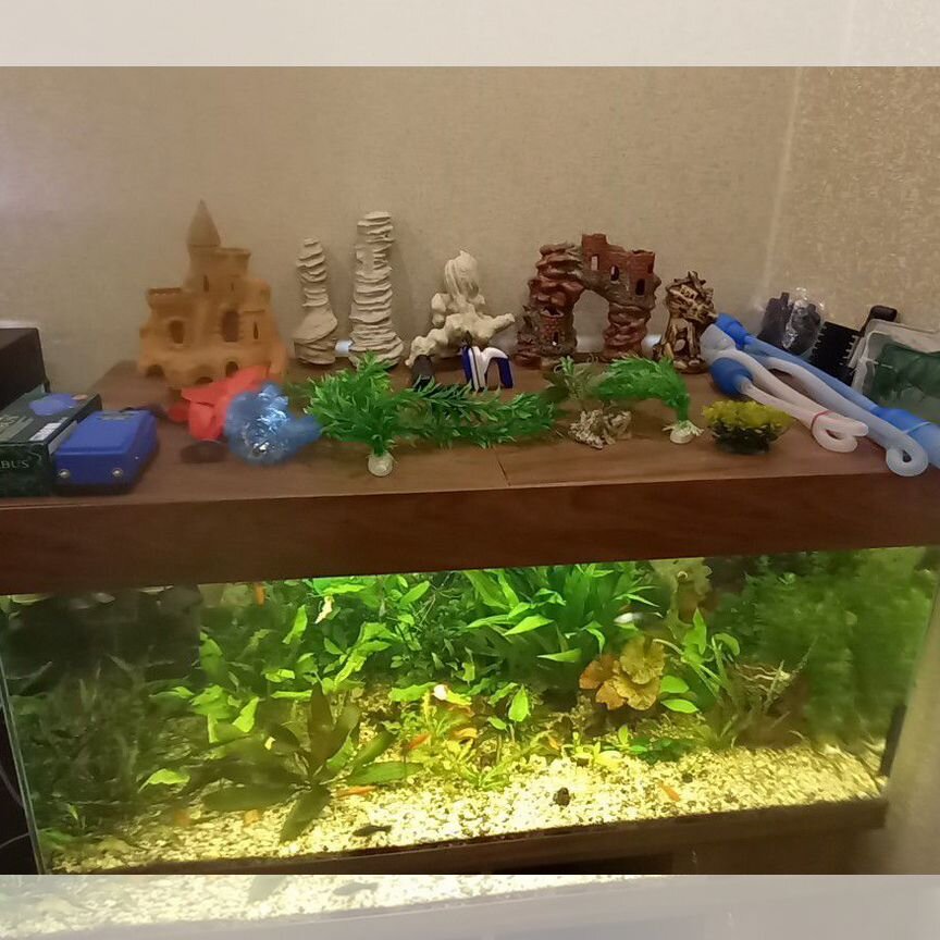 Аксессуары для аквариума