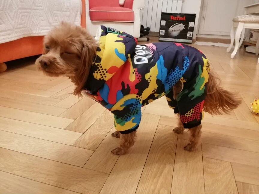 Собачий комбинезон нов,с биркойдля маленьк. собак