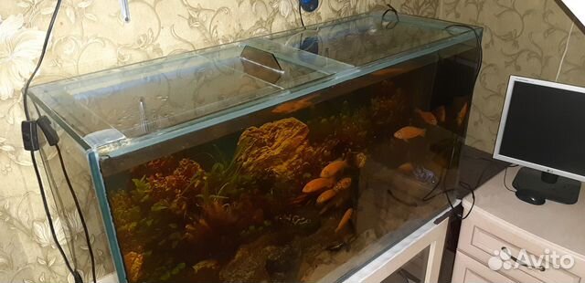 Аквариум 250 литров