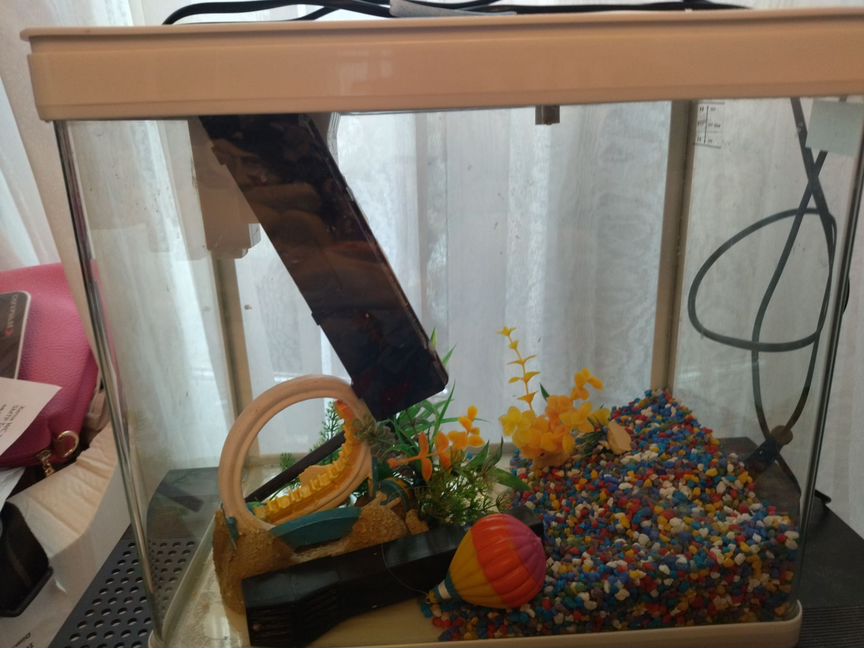 Аквариум 15 л пустой, 31,5 х 19,5 х 29