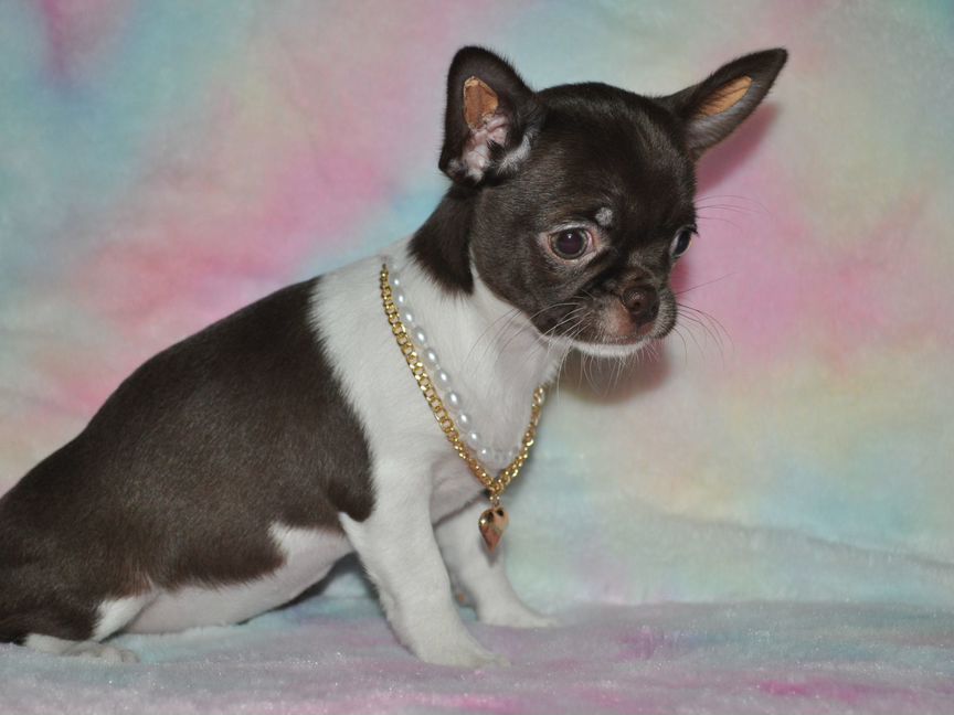 Нет, не принцесса, королевна)