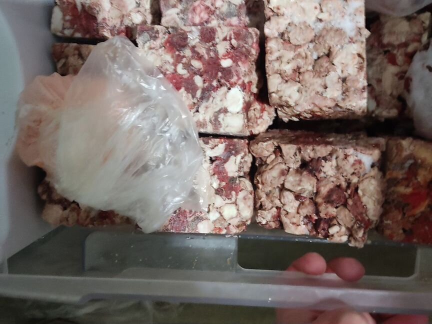 Корм для собак, обрезь говяжья