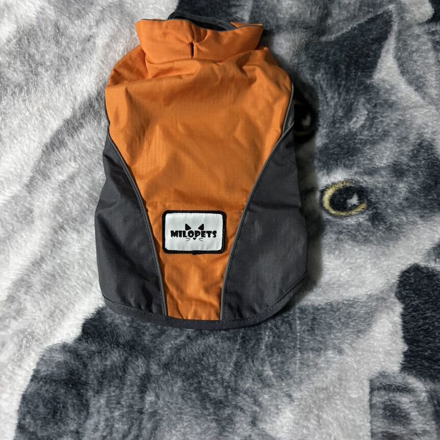 Одежда для собак мелких пород