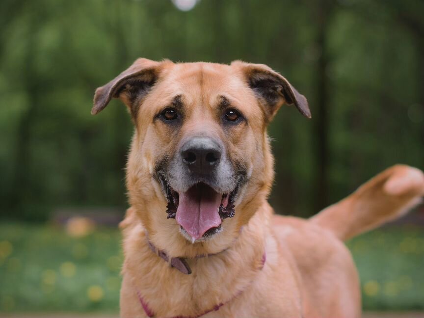 Остался один после домашней жизни