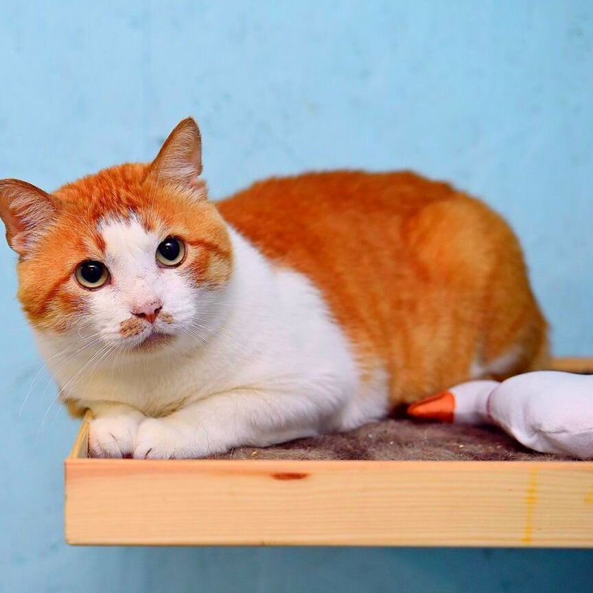 Невезунчик.Слишком красив.Отталкивает людей что ли