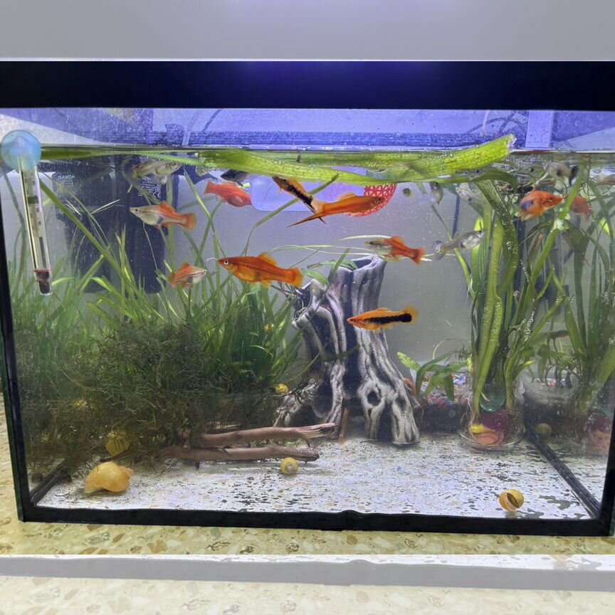 Аквариум 45 литров