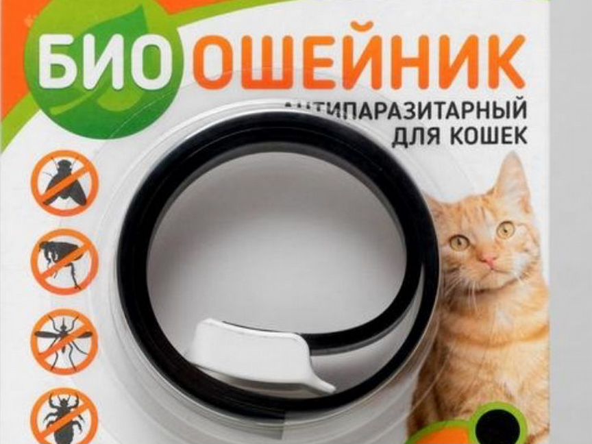 Ошейник и капли от блох, шампунь для животных