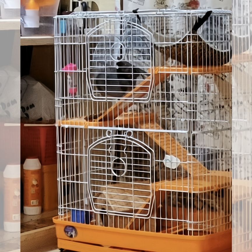 Клетка для грызунов kredo 68x46x92см 3-х этажная