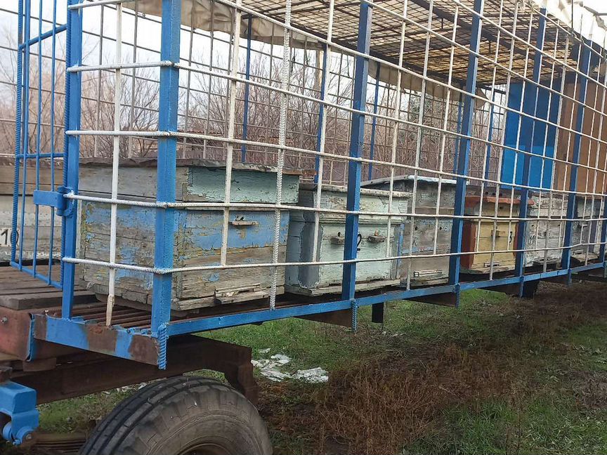 Ульи для пчел бу