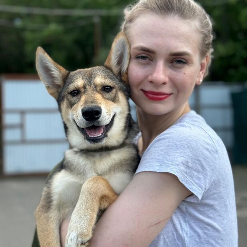 Щенок из приюта