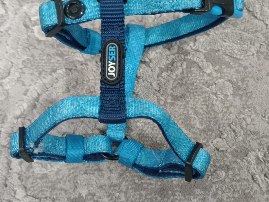 Шлейка для кролика (грызунов)