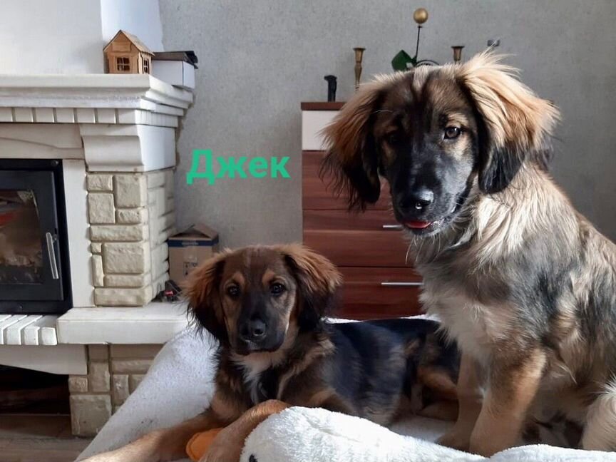 Красивые парни-подростки на охрану или для души