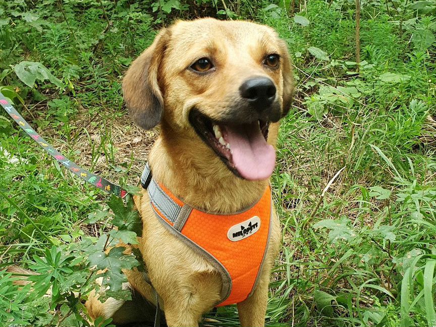 Девочка Ксюша