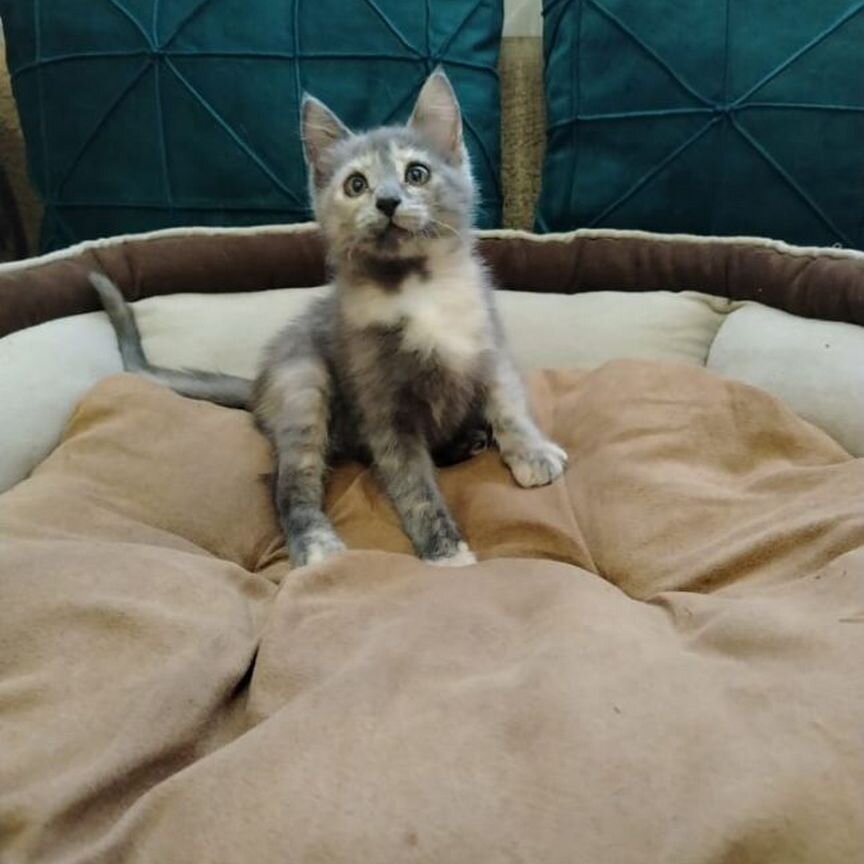 Василиса 3 месяца