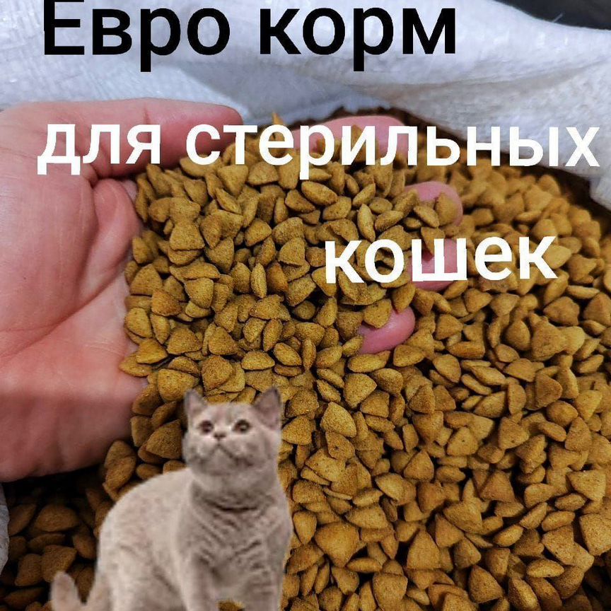 Элитный корм для кошек и собак